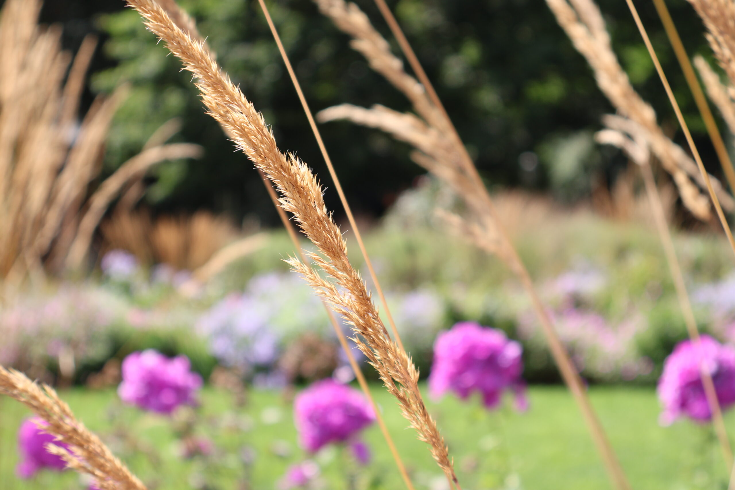 Nous contacter - LUGA