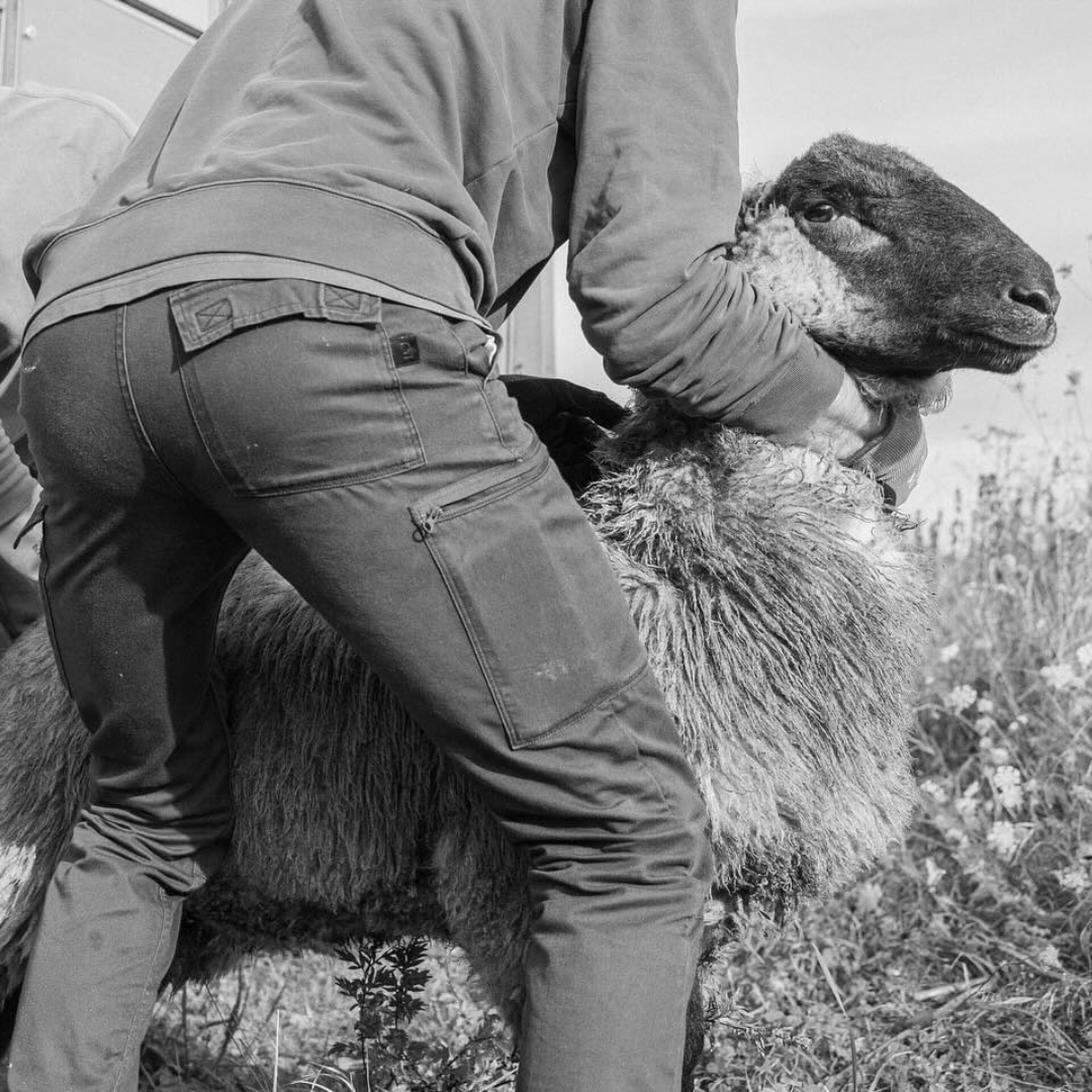 Liz Lambert, laureate of the CNA x LUGA 2024 grant - LUGA