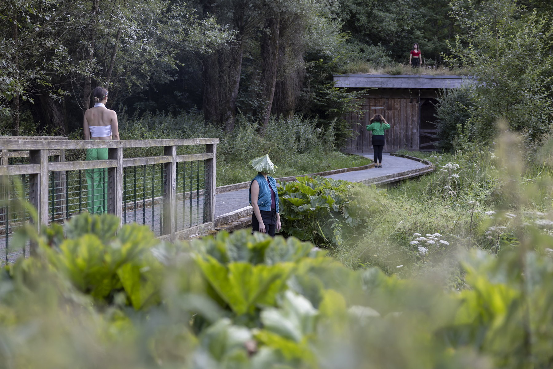 Roots / Routes - LUGA