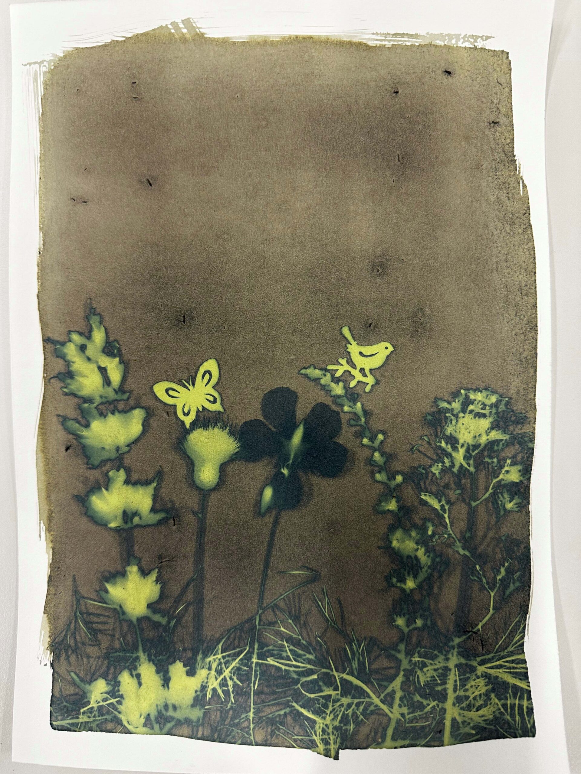 L'herbier bleu - LUGA