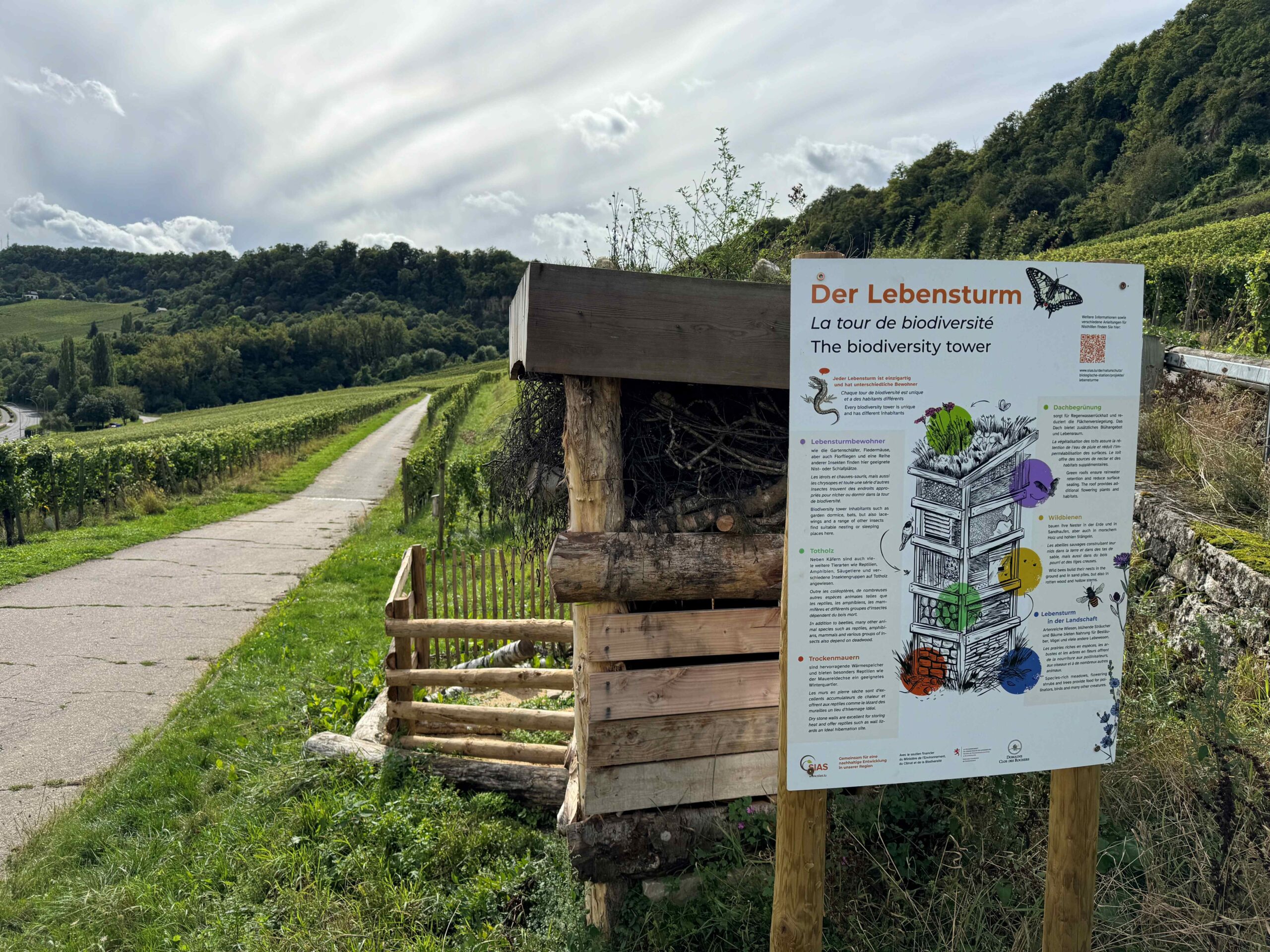 Micro-Expo Lebenstürme - LUGA