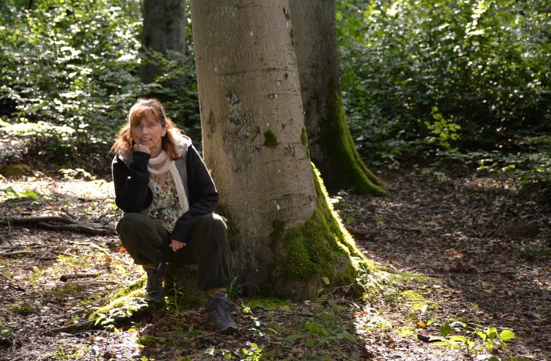 Bamgeschichten - LUGA