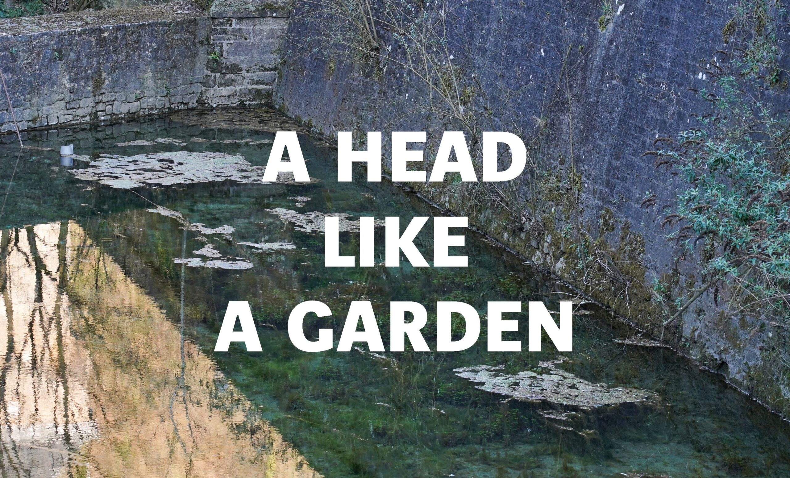 A Head Like a Garden / La tête comme un jardin - LUGA