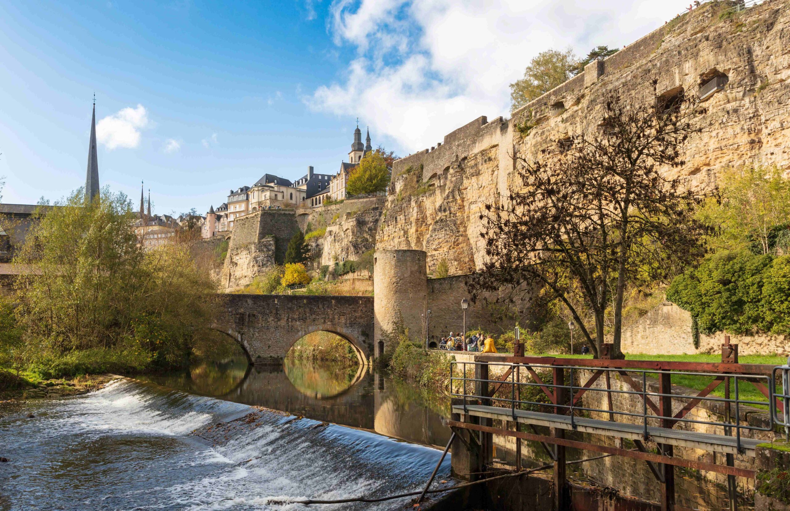 Institutional Partners on trail: Tour en famille : Biodiversité sur le sentier Wenzel - LUGA