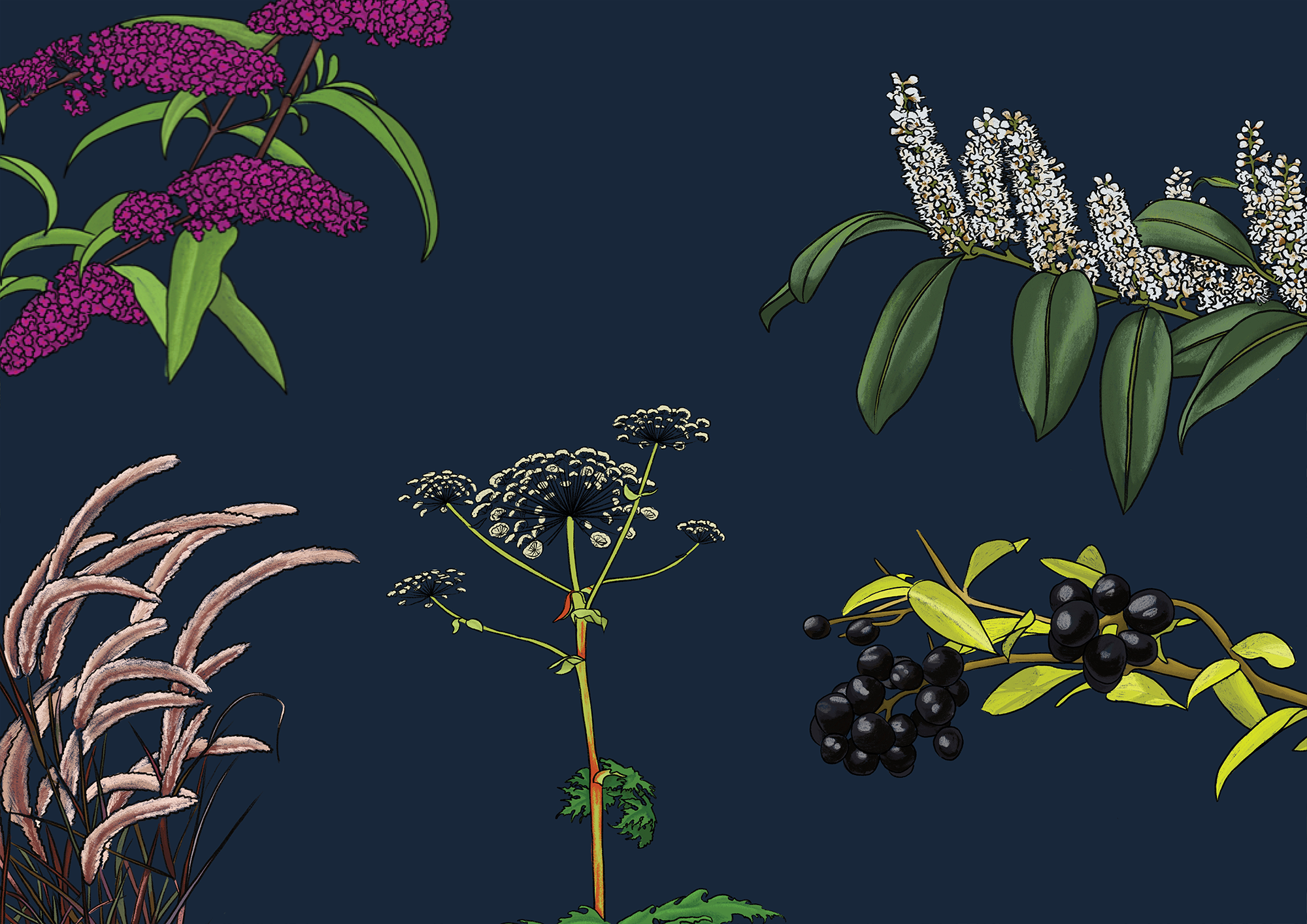 Invasive Neophytes in the Garden: Challenges and Solutions - LUGA