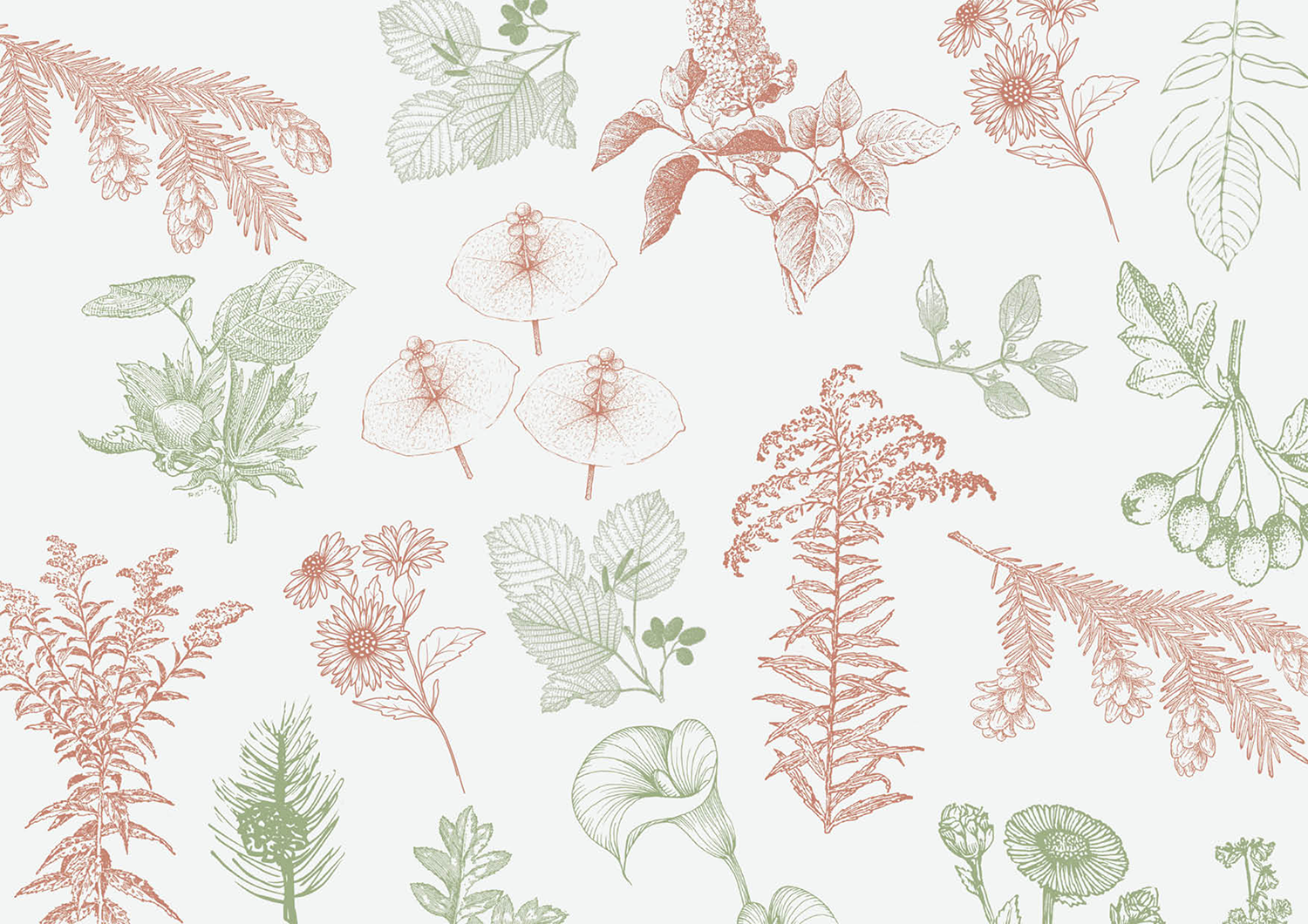 Néophytes envahissantes dans les jardins et promotion des ...