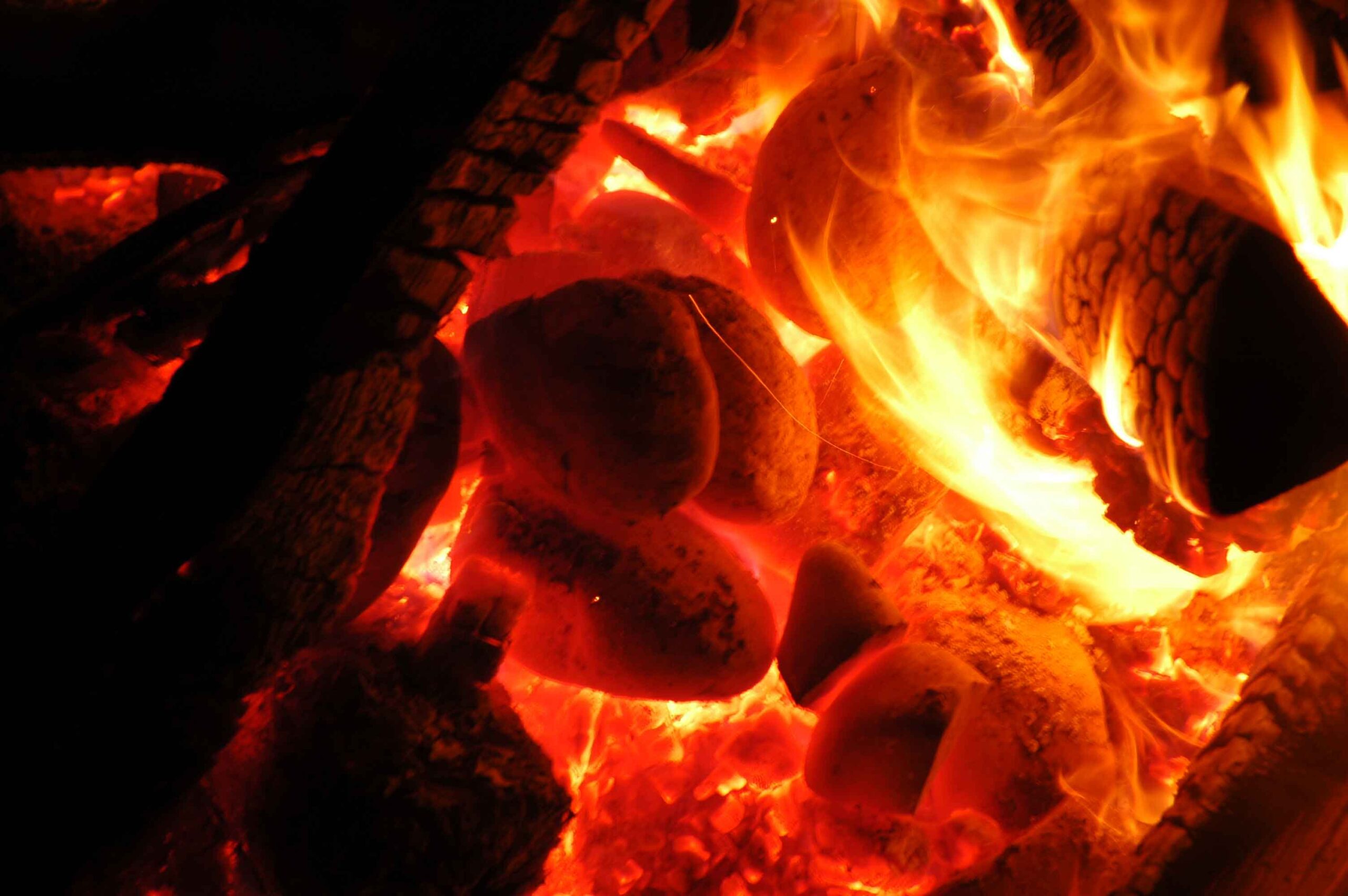 COOKING AND TASTING LIKE THE ROMANS - LUGA