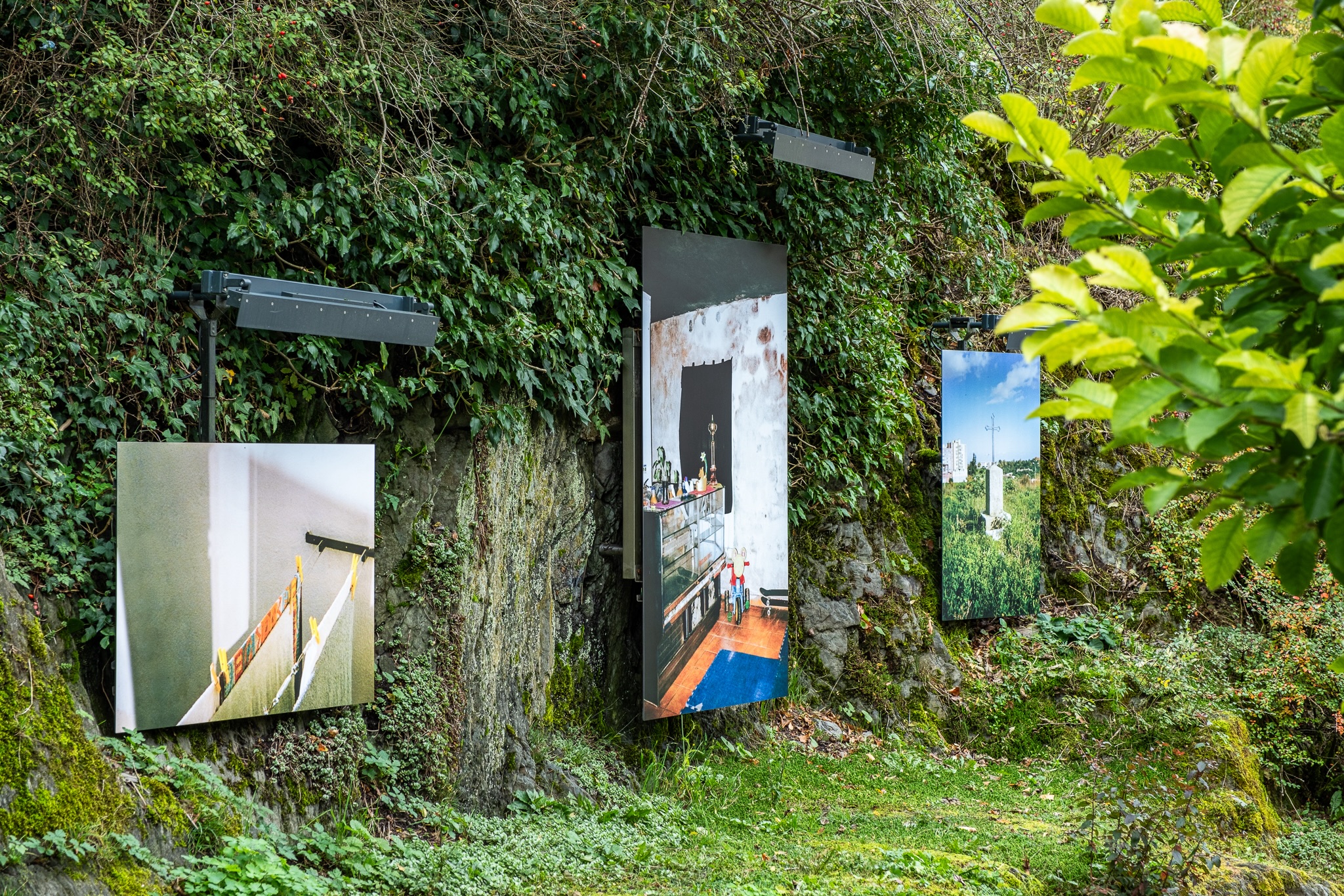 NOVUM ASPECTUM - LUGA