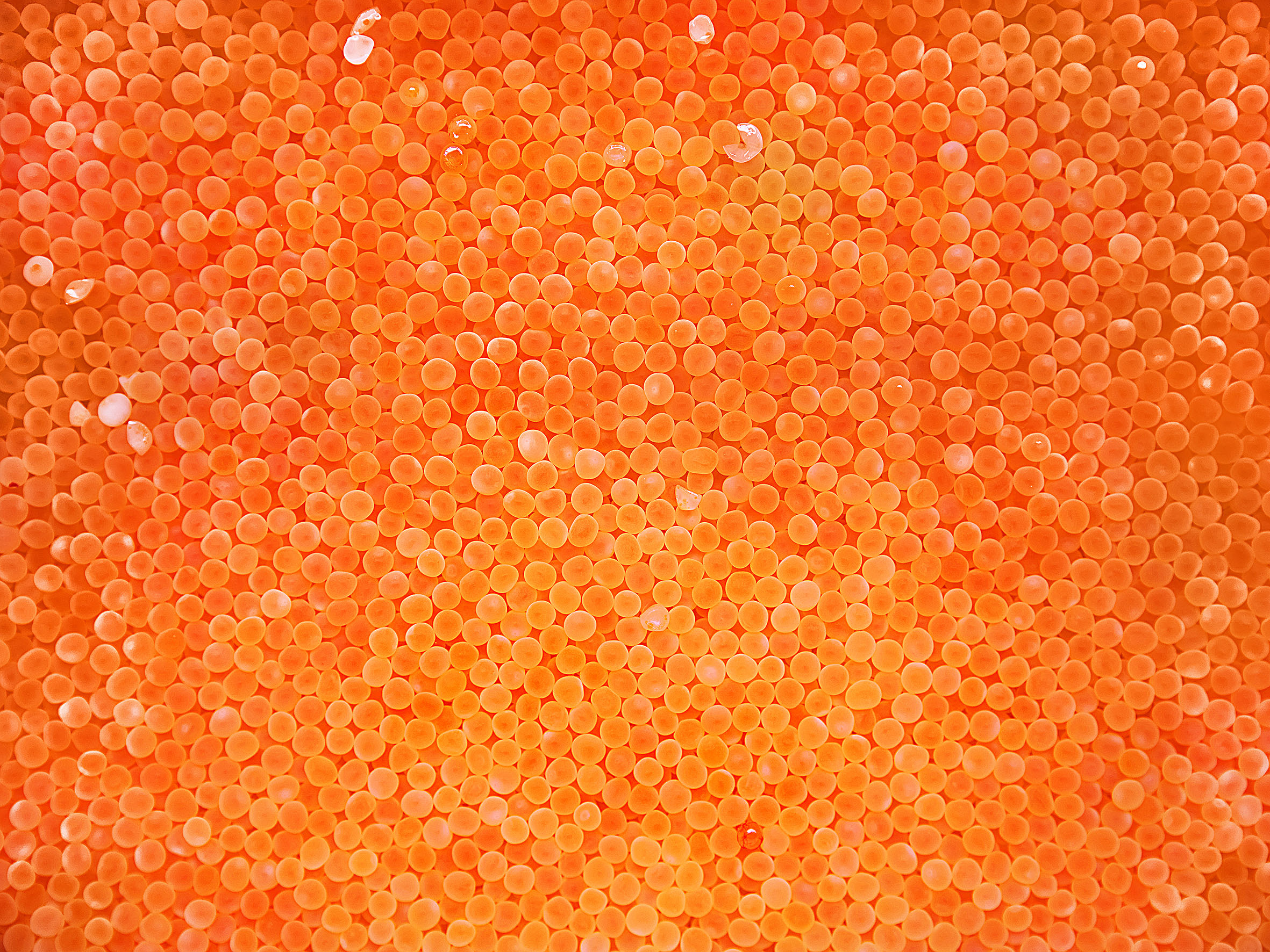 Nature and Infrastructures - LUGA