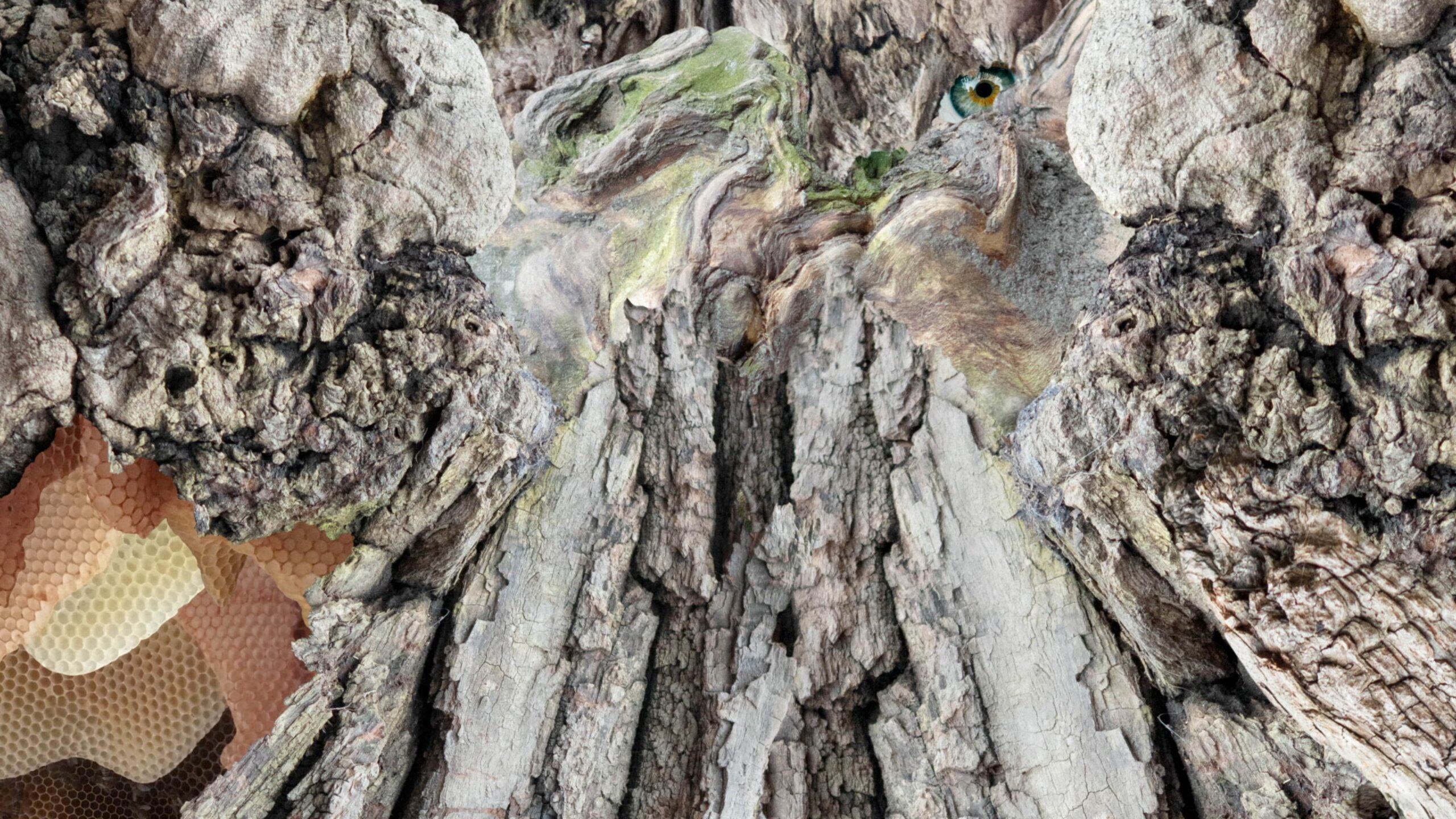 The Great Tree Piece - LUGA