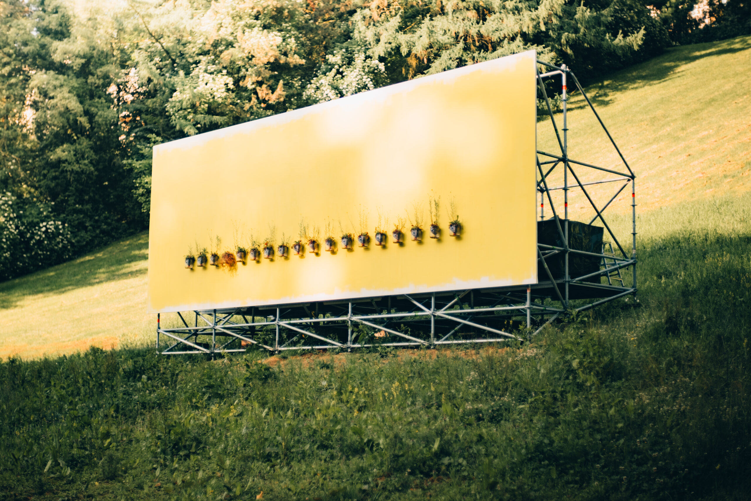 LUGA Art Trail: A Painting for Insects #002 - LUGA