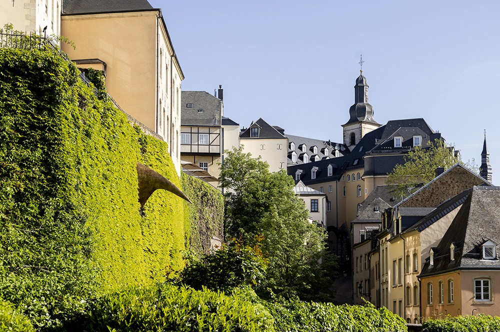 Meet the artists - LUGA