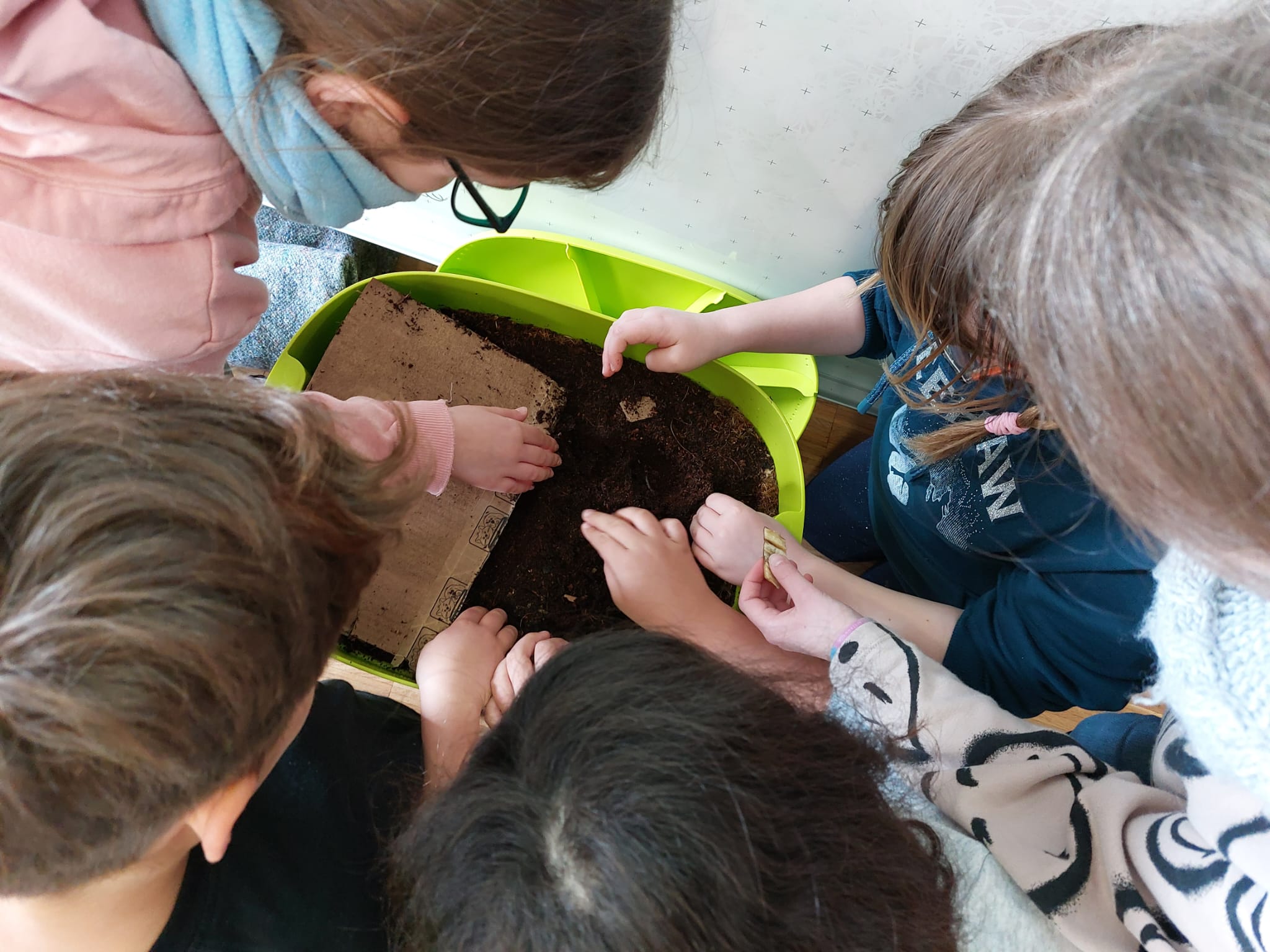 Vermicompost for kids - LUGA