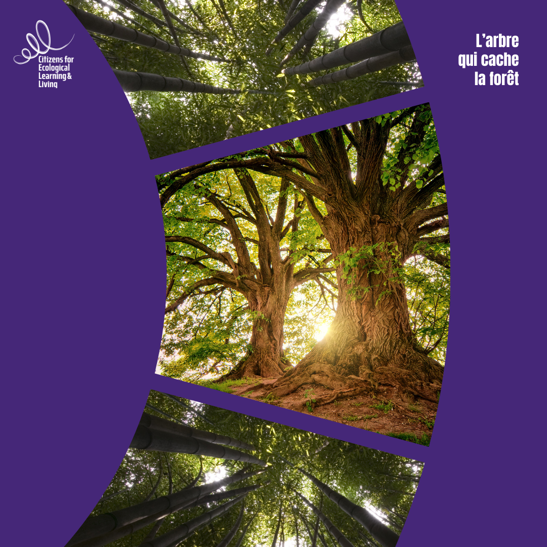 Assemblée citoyenne poélitique - LUGA