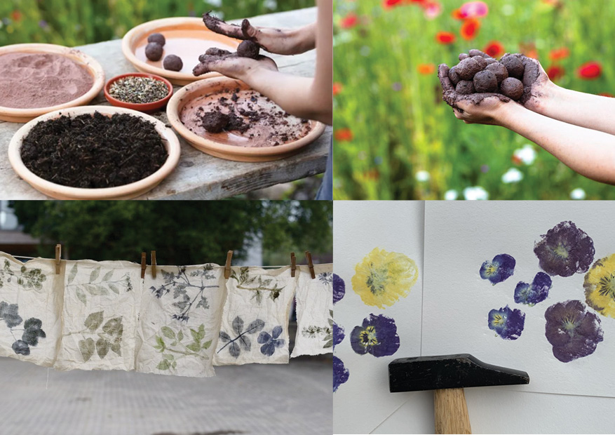 Atelier Seed bombs et impressions végétales - LUGA