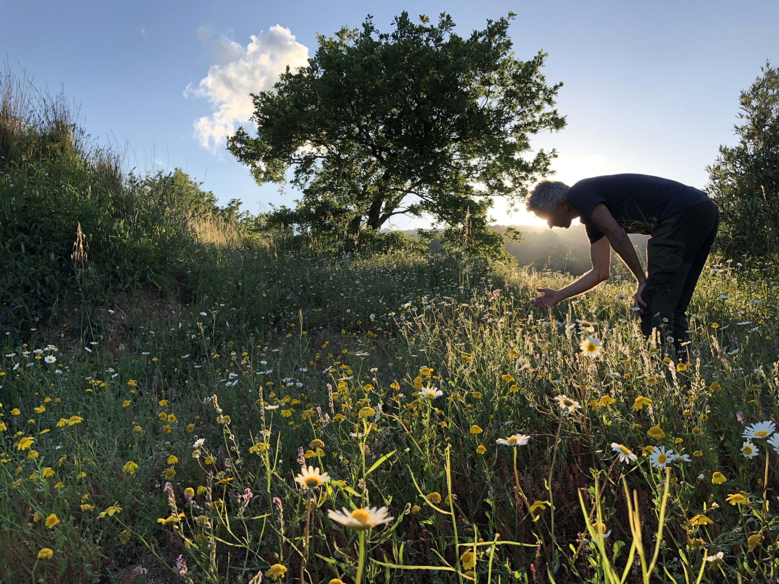 From Soil to Soul: A Journey into Regenerative Agriculture - LUGA