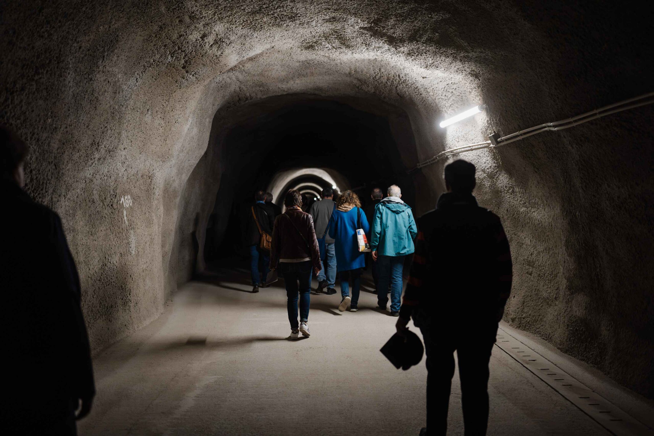 Vivez une expérience inoubliable avec la LUGA ! - LUGA