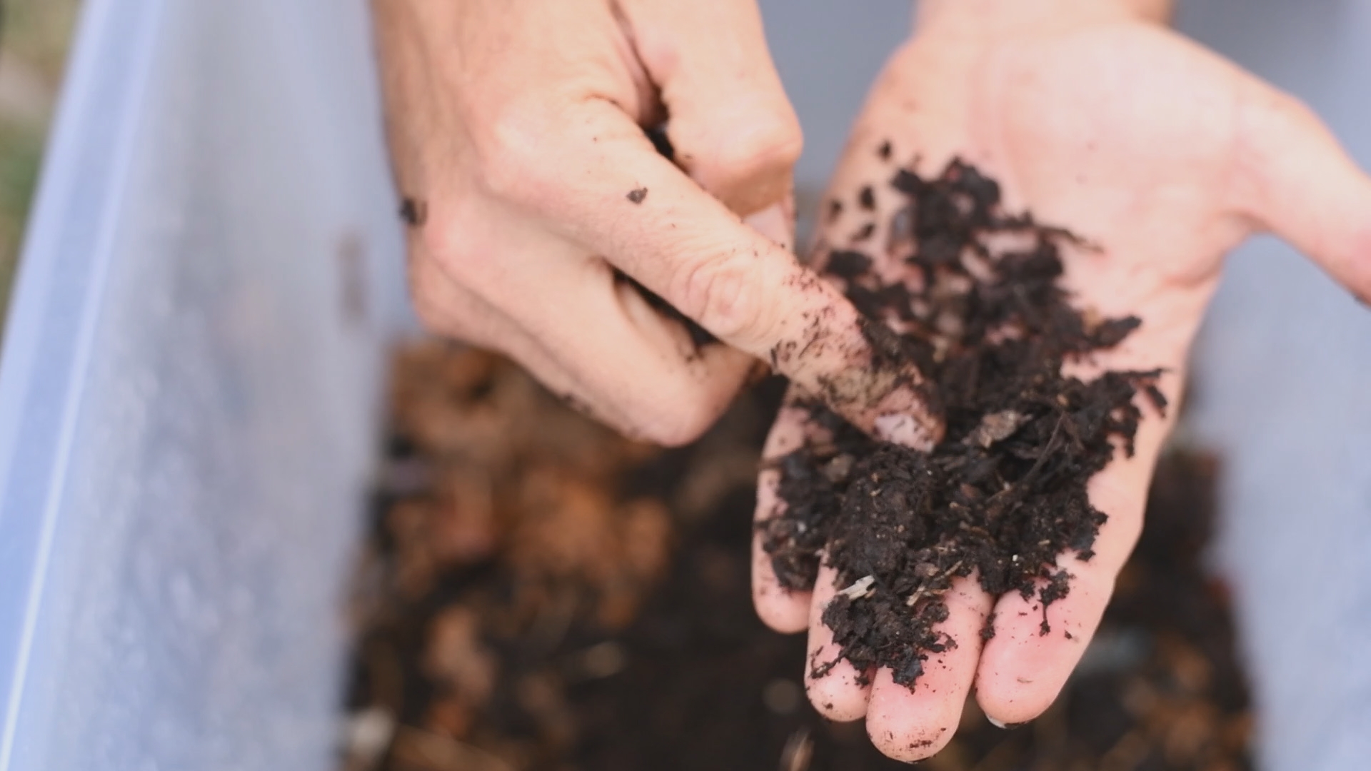 Vermicomposting Made Easy: Turn Your Waste into Life - LUGA