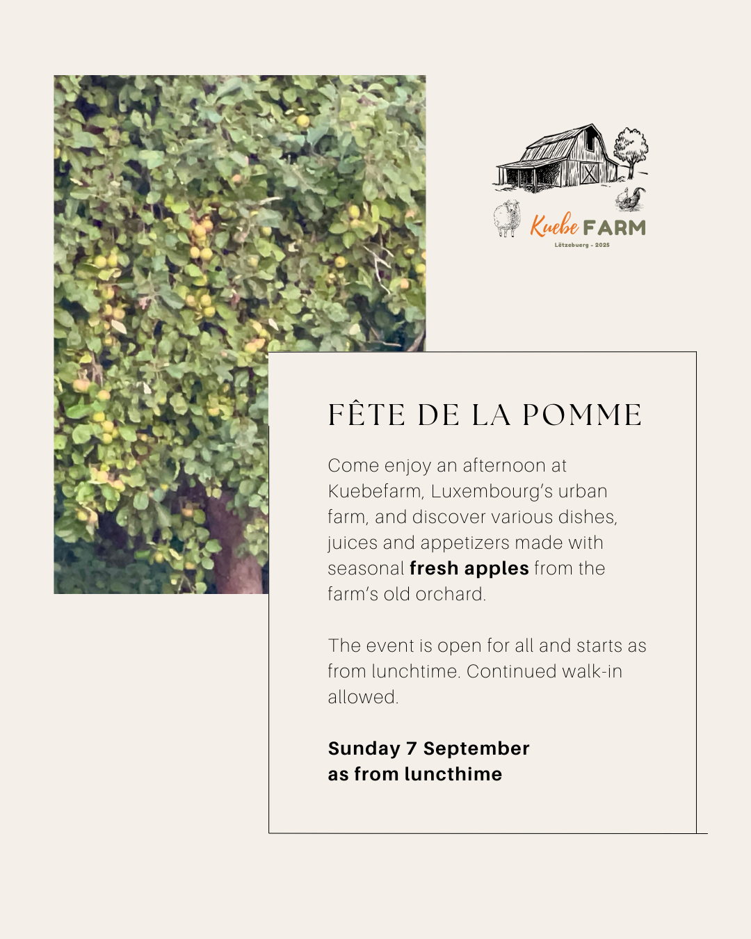 Fête de la Pomme - LUGA