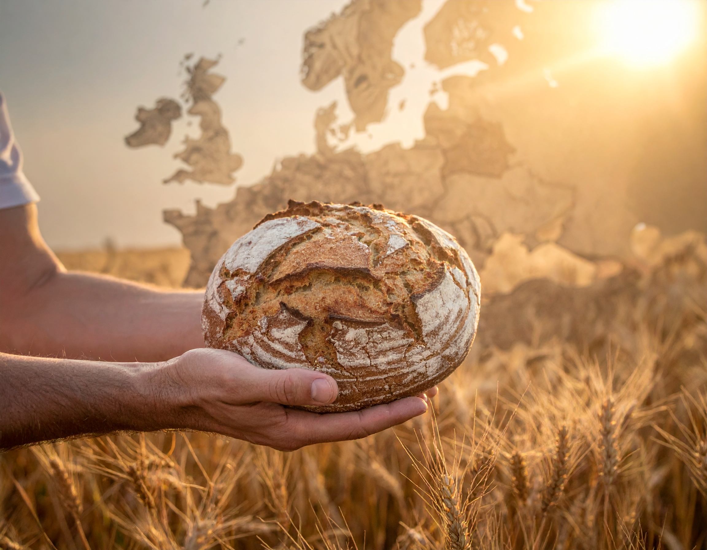 Food Stories - EUROPE - LUGA