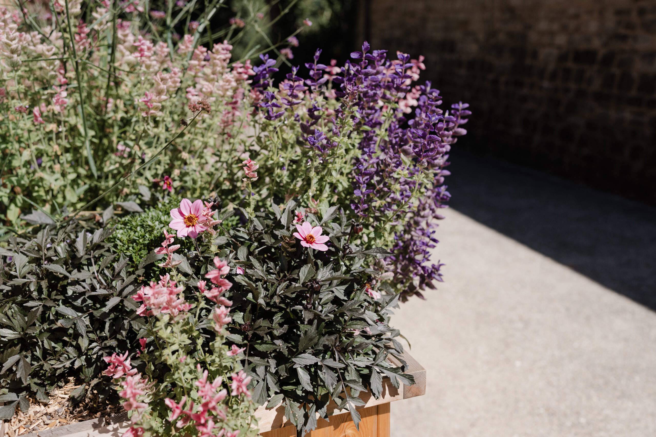 Plant distribution – LUGA Recycle - LUGA